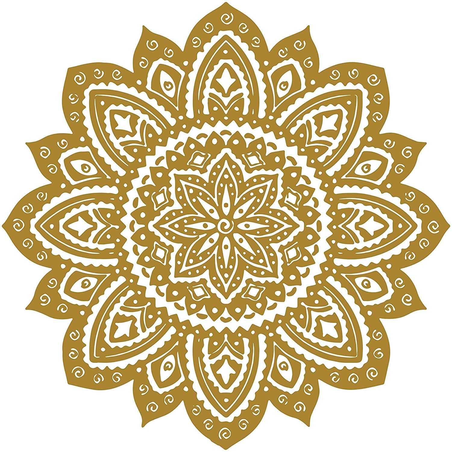 Shauna Suarez Hair Design